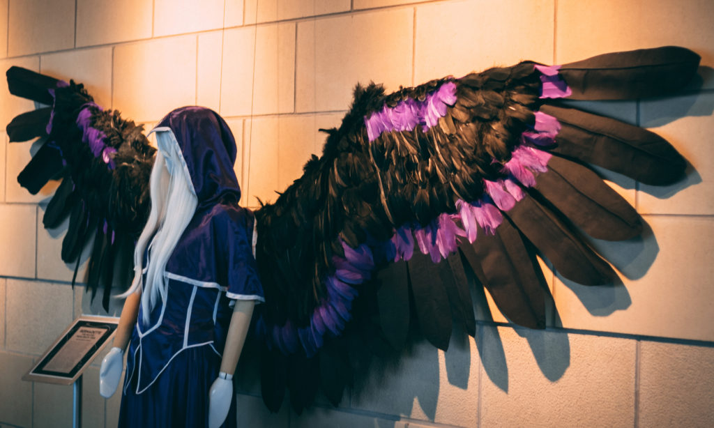 Cosplay and Newfoundland culture