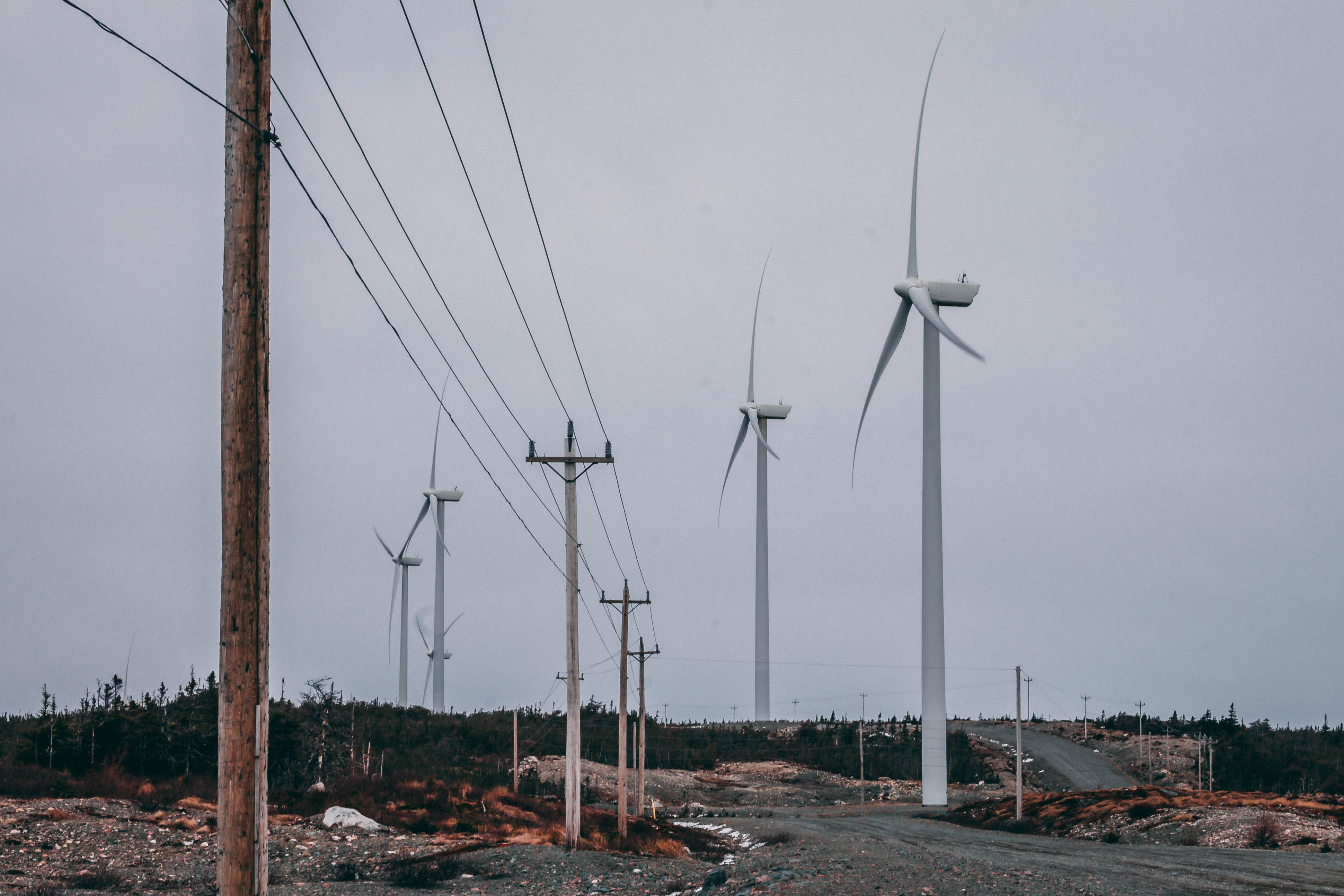 Growth of wind energy in the province possible, but unlikely - Kicker