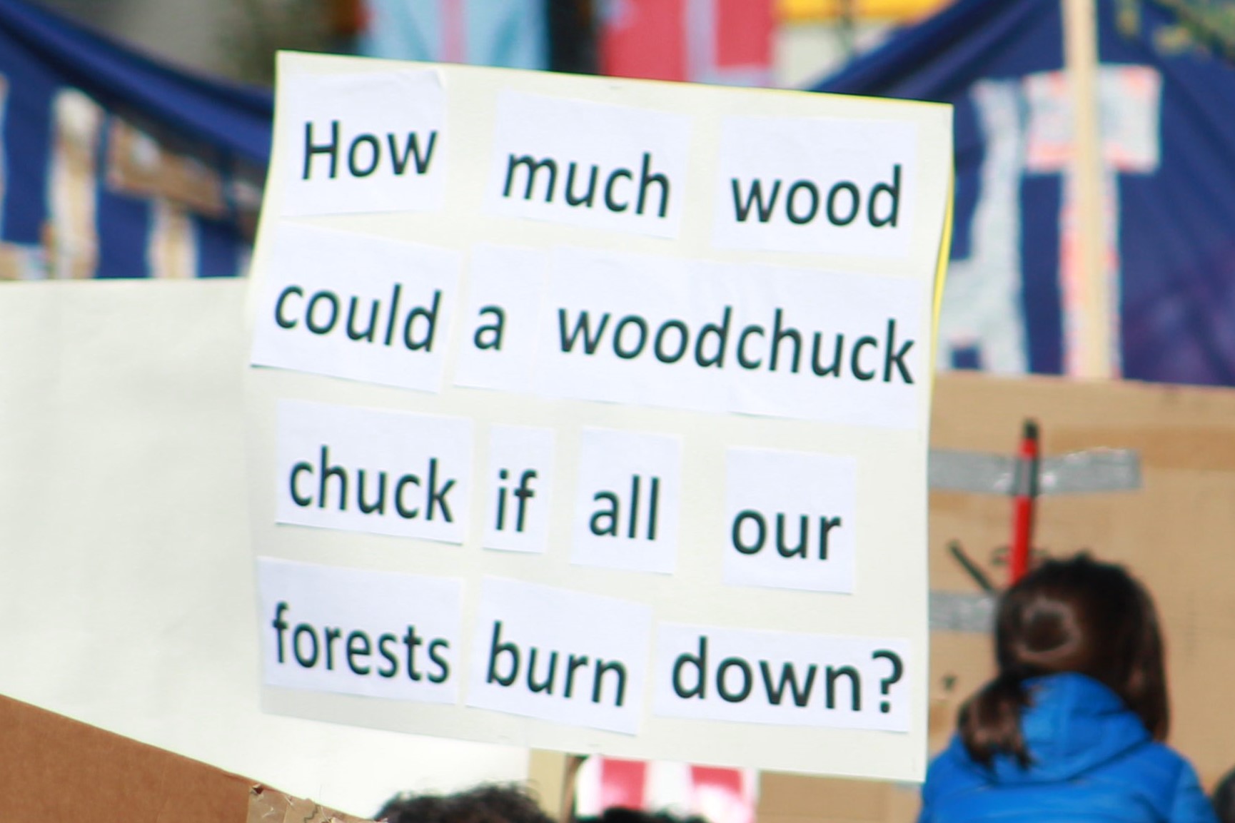Protest Signs at #ClimateStrike Vancouver