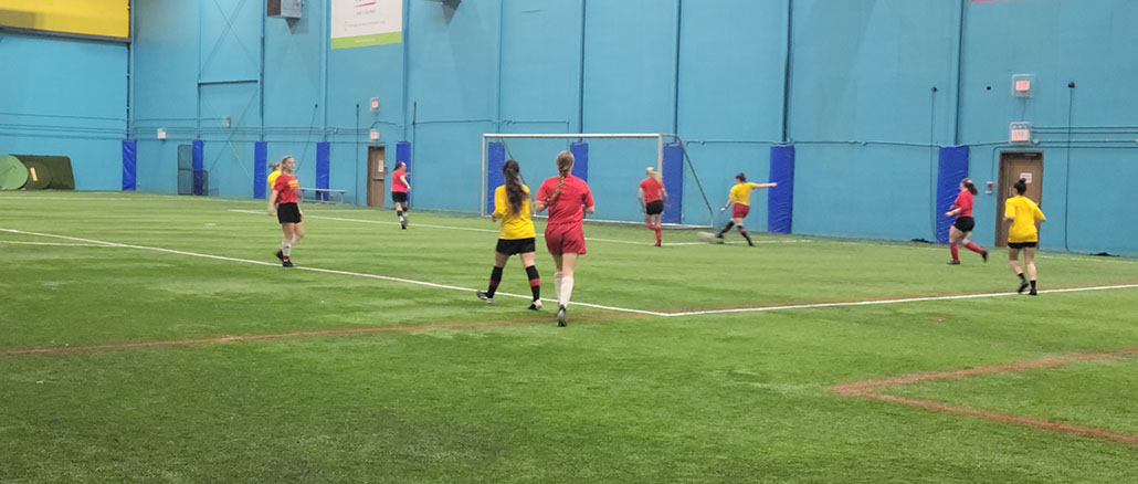 Newfoundland and Labrador Soccer Association honours top provincial ...