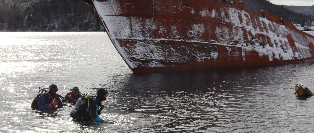 Diving in: local divers explore Conception Harbour shipwrecks