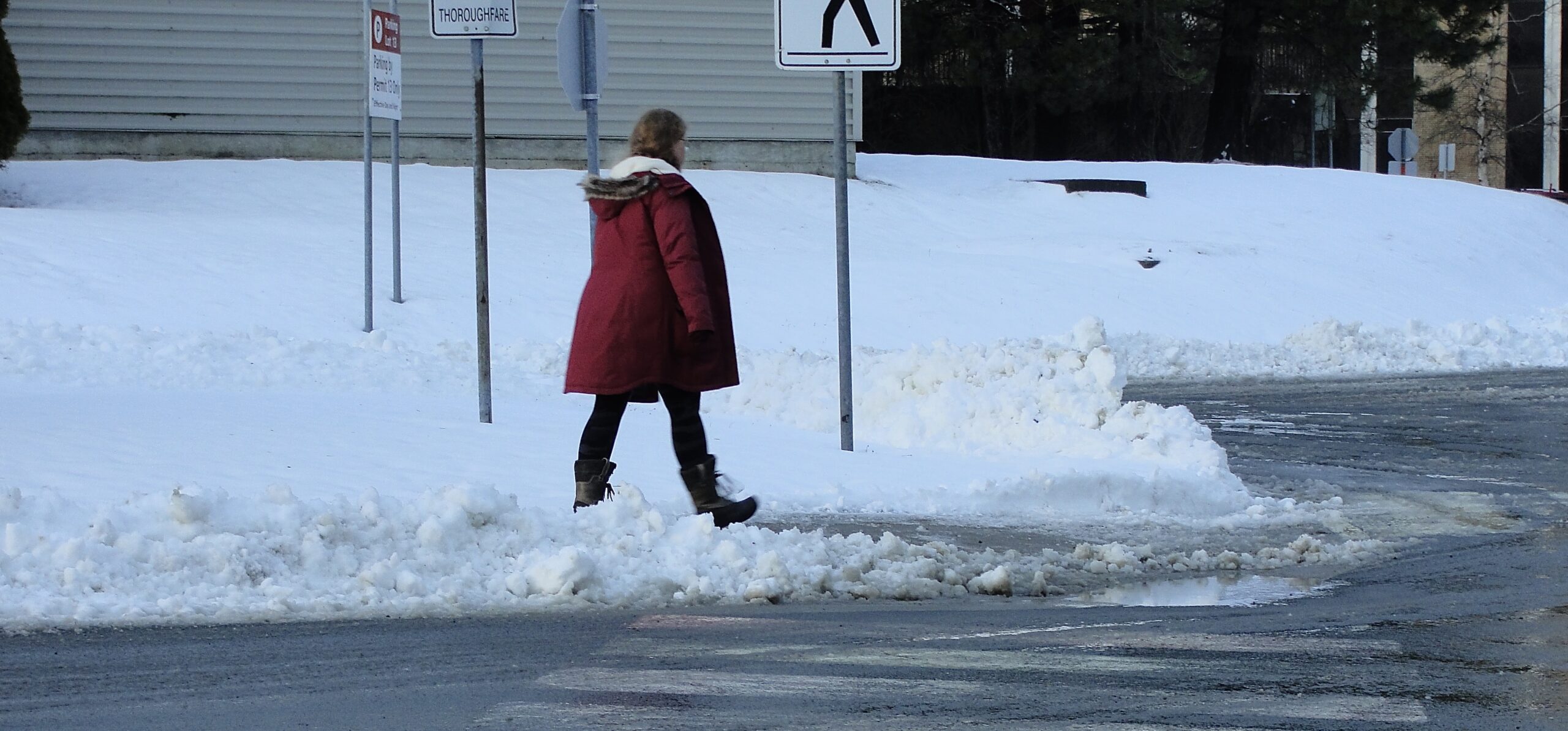 New ministerial committee to end gender-based violence.